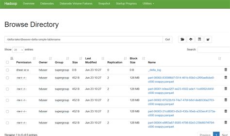 Jdbc Setting Up A Dbeaver 2501 Connection To A Delta Lake V24 Parquet Table On Hadoop 334