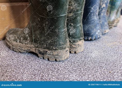 Row Of Muddy Dirty Rubber Boots After Working On Construction And Building Stock Image Image