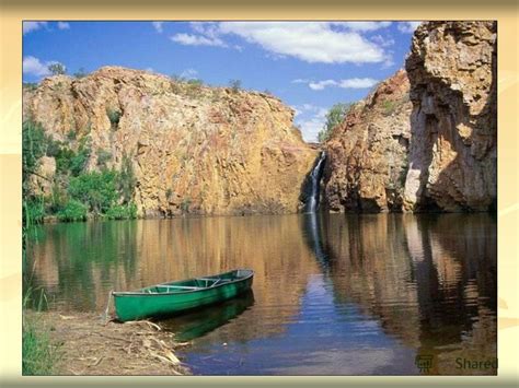 Презентация на тему Природа Австралии Своеобразие органического мира Скачать бесплатно и