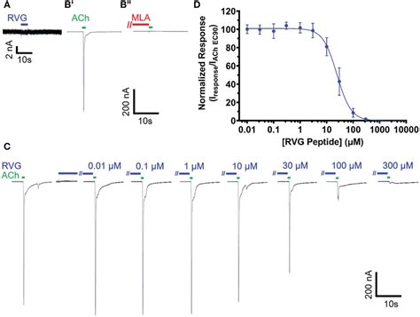 Frontiers The Human Alpha7 Nicotinic Acetylcholine Receptor Is A Host