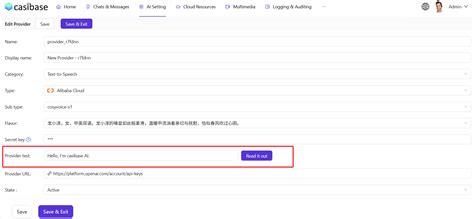 添加语音合成提供商 Casibase · Open Source Langchain Like Ai Knowledge Database And Chat Bot With Admin Ui
