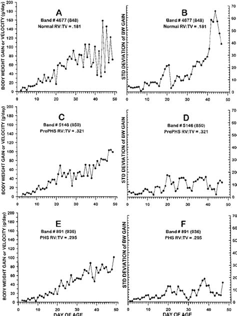Daily Body Weight Gain And Body Weight Gain Standard Deviation