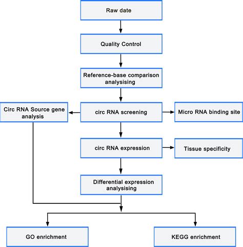 Key Circular Rnas Identified In Male Osteoporosis Patients By Whole