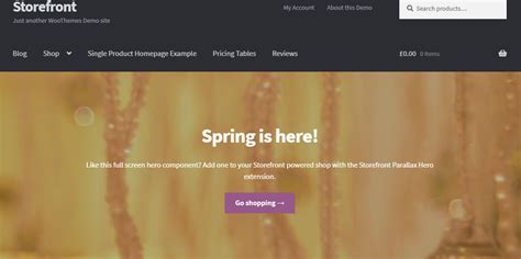 80 Best Free Responsive WordPress Themes Premium Themes