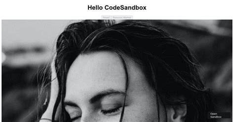 Gracious Feistel 9smchg Codesandbox Gracious Feistel 9smchg Codesandbox