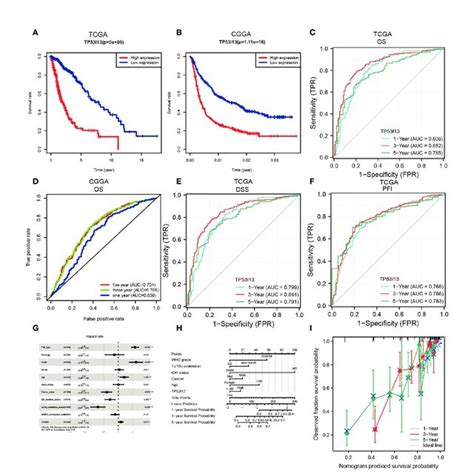 A Kaplan Meier Curve For Overall Survival Os Of Glioma Patients