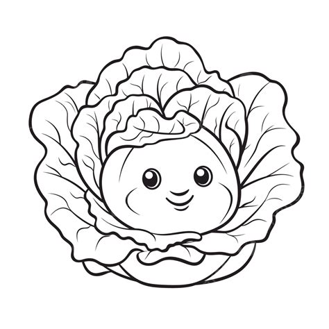 Cabbage Cartoon Drawing At Charlene Nunez Blog