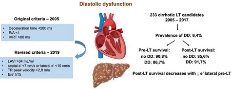 Diastolic Dysfunction Prevalence And Outcome In Liver Transplantation Candidates Annals Of