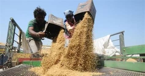Modi Cabinet Approves Higher Msp For Kharif Crops For 2023 24 Marketing
