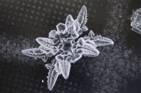 I Was Making Lysozyme Micro Crystals And Imaged Them Under The Sem