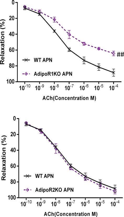 Knockout Of Adiponectin Receptor 1 Adipor1 But Not Receptor 2