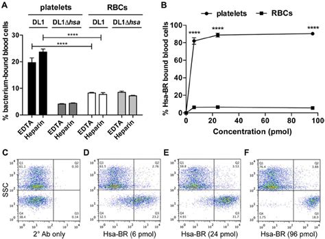 Divalent Cation Effect On Bacterial Binding And Preferential Download Scientific Diagram