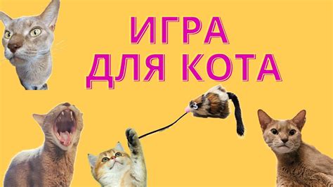 Кошка ТВ - Игра для котов "Поймай мышку". Видео для вашей кошки. Cats ...
