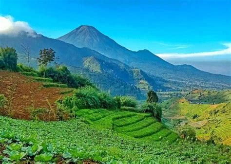 Hobi Travelling Ini 100 Tempat Wisata Terindah Di Indonesia Erudisi