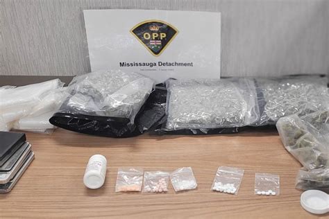 Seatbelt Violation Leads To Drug Charges In Brampton Insauga