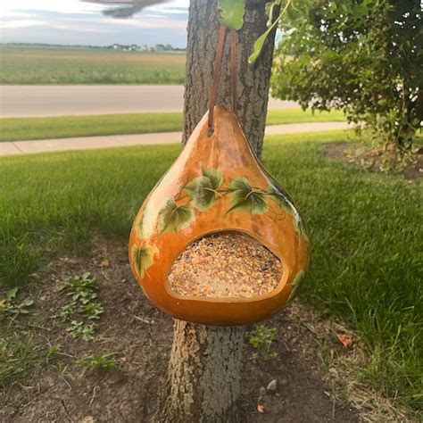 Gourd Birdhouse Hand Painted Gold Finch Gourd Birdhouse Garden Art