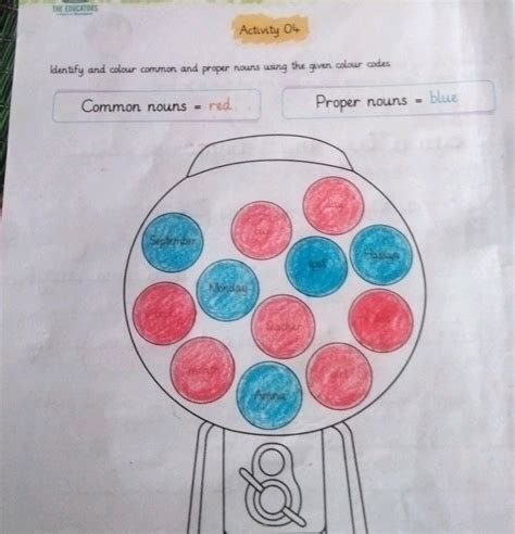 Activity O4 Identify And Colour Common And StudyX