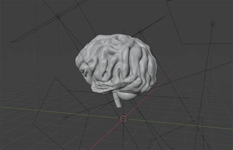 3d Model Of Brain Blender 3d 3d Model Cgtrader