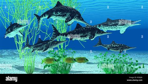 Ichthyosaur Stenopterygius Quadriscissus Hi Res Stock Photography And