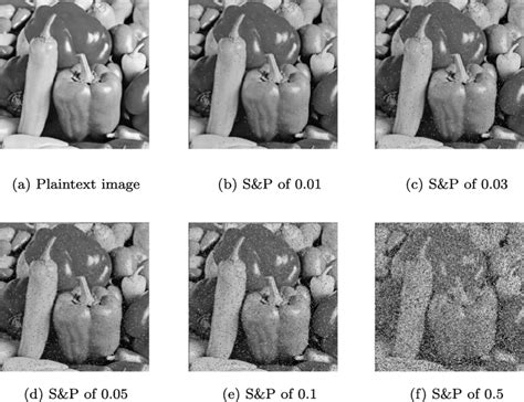 Robustness Of The Proposed Algorithm Against Salt And Pepper Noise Or Download Scientific