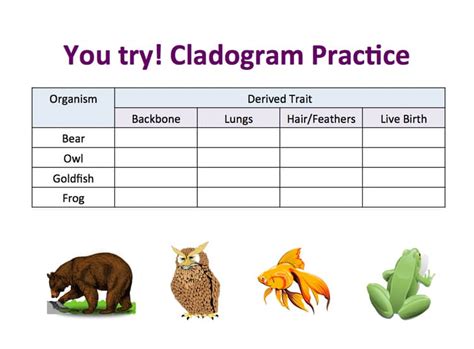 Cladogram Phylogenetic Tree Powerpoint Lesson By Science Lessons That Rock