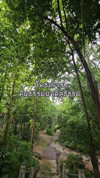 อ เถิน จ ลำปาง จาก อ ที่ร้อนที่สุด เกิดไฟป่าบ่อย🔥 สู่ป่าเขียวชอุ่ม 🌳
