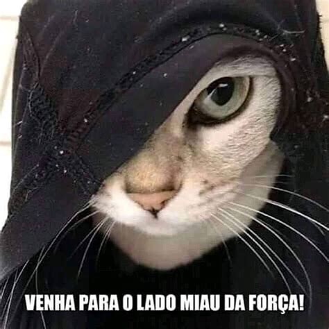 17 mil curtidas 211 comentários Gato Peralta gatoperaltaoficial