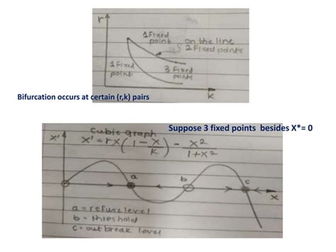Non Linear Dynamics Basics And Theory Pptx