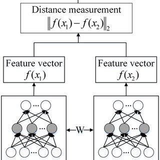 Structure Of Siamese Network The Input Of The Siamese Neural Network Is