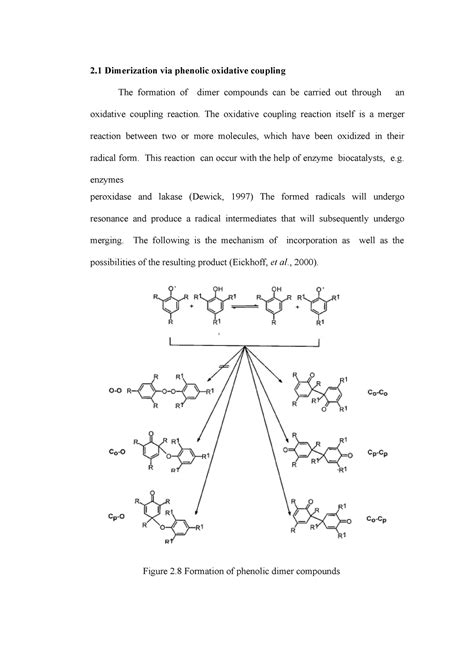 Dimerization Via Phenolic Oxidative Coupling The Oxidative Coupling