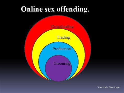 INTERNET SEX OFFENDERS What We Know About Them
