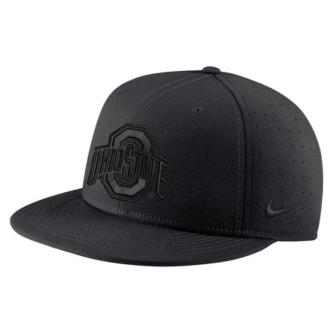 Mens Nike Ohio State Buckeyes Triple Black Performance Fitted Hat