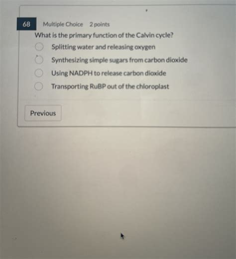 Solved Multiple Choice 2 ﻿pointswhat Is The Primary Function