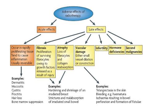 Toxicity Of Radiotherapyjoy Jisha Nair 2012 Agents Which Affect