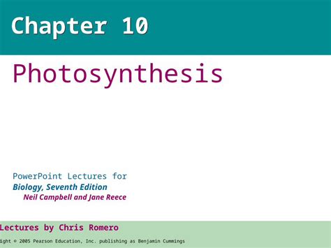 Ppt Plant Photosynthesis Dokumen Tips