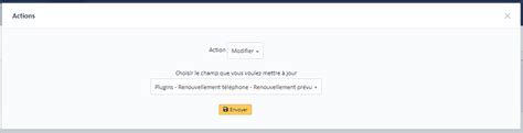 Cannot Massive Update A Custom Field For An Objet No Value Form