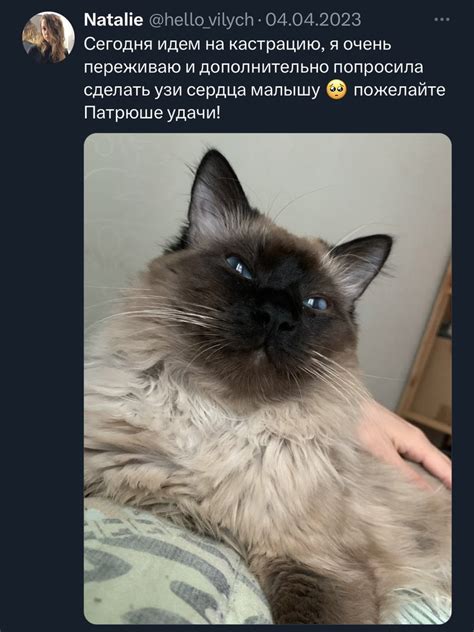 ВЗРОСЛЫЙ КОНТЕНТ On Twitter ПРОСТИТЕ БОГА РАДИ