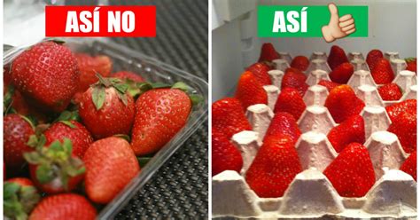 11 Trucos Para Conservar Frescas Las Frutas Y Verduras Por Más Tiempo