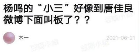 杨鸣被扒已提离婚诉讼，网传有小三小四尚未澄清，正妻也惨遭辱骂唐佳良网友婚变