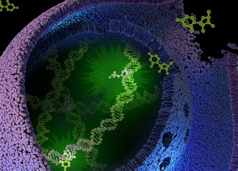 Cytotoxicity Testing Of 9 667 Tox21 Compounds Using Two Real Time