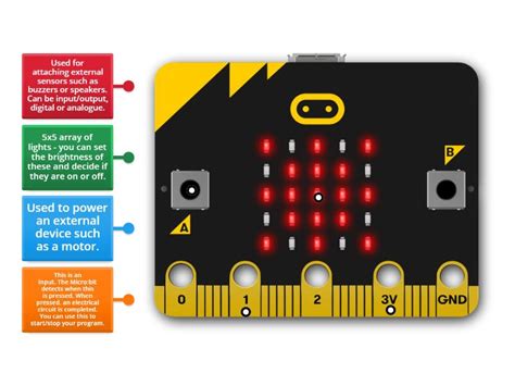 Labelling The Microbit Labelled Diagram