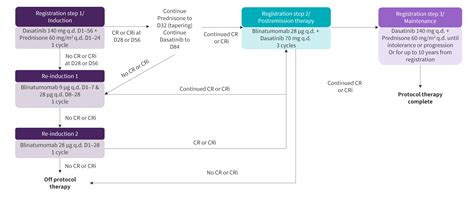 Blinatumomab Combined With Dasatinib And Steroids In Older Patients