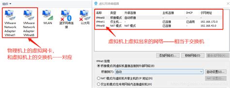 桥接模式、nat模式和仅主机模式桥接 Nat Csdn博客