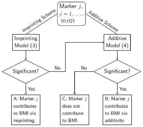 Workflow For Data Analysis Download Scientific Diagram