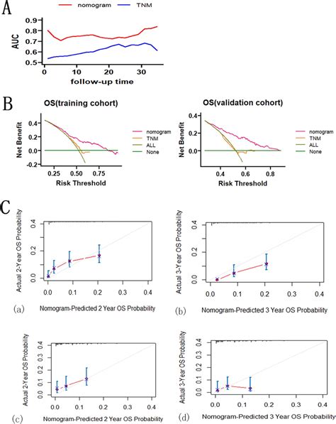Efficacy Of Nomogram A Auc Curve Over Time For Nomogram Model And