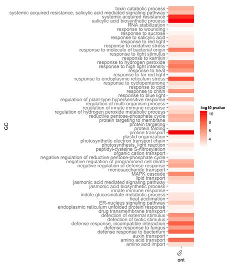R How To Preserve The Order Of Tiles In Geom Tile Ggplot Stack Overflow