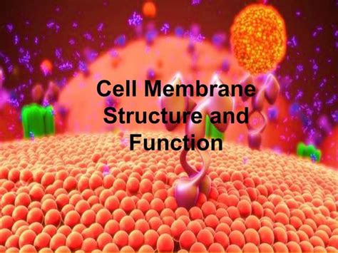 Cell Membrane Structure Function Week 5ppt