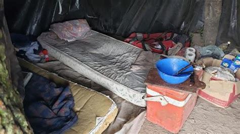 Detectan Presunta Explotación Laboral En 35 Trabajadores Rurales Perfil