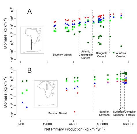 Ecosystem Structure Along Productivity Gradients Variation In Emergent