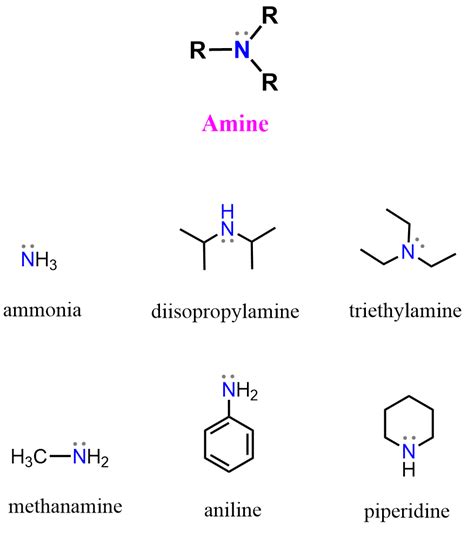 Amine Functional Group Chemistry Steps